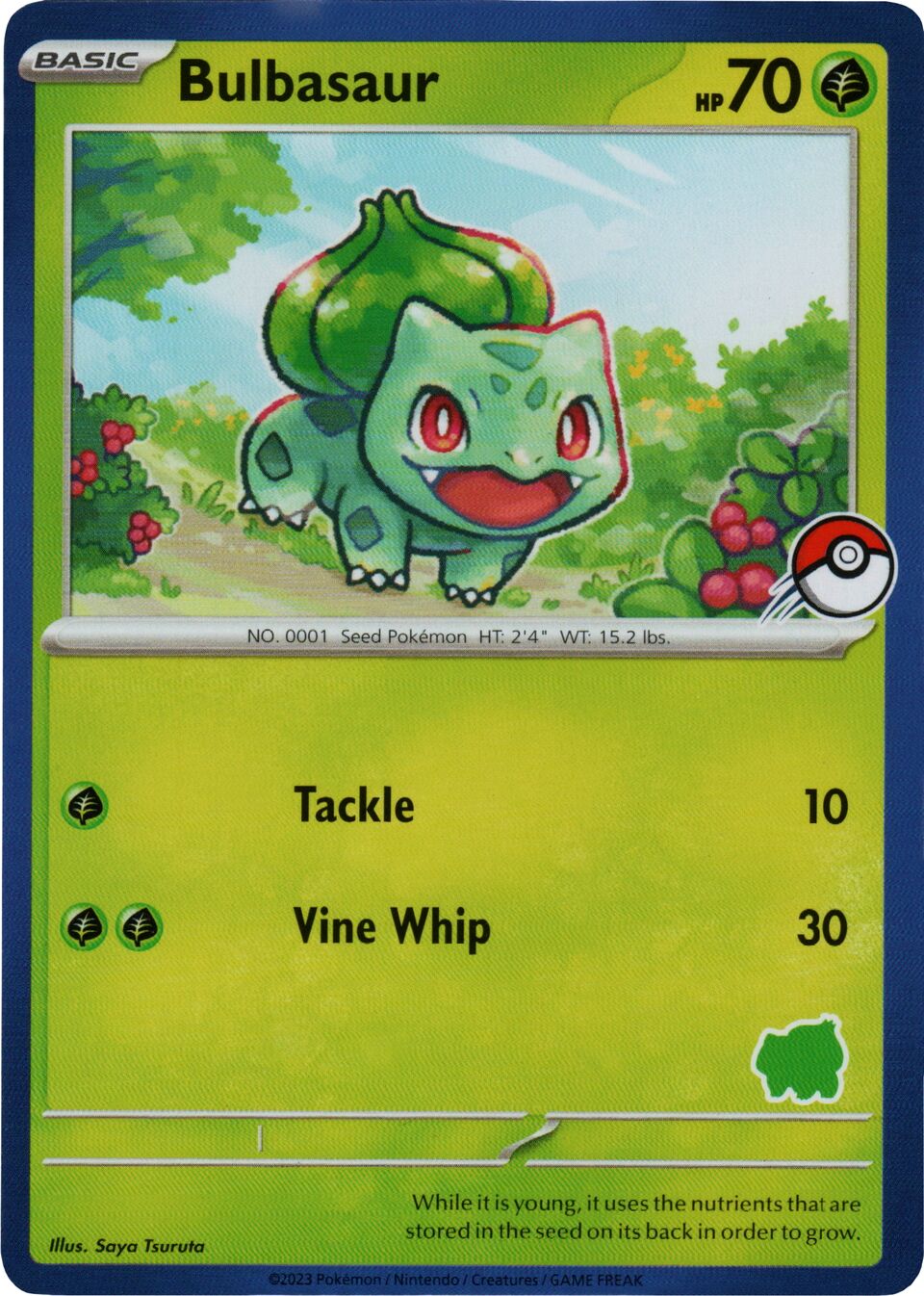 Bulbasaur (My First Battle (Bulbasaur) No. 001) (International TCG ...