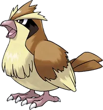 Pidgey cards (International TCG) – TCG Collector