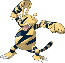 Electabuzz cards (Chinese TCG) – TCG Collector