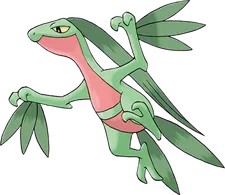 Grovyle cards (International TCG) – TCG Collector